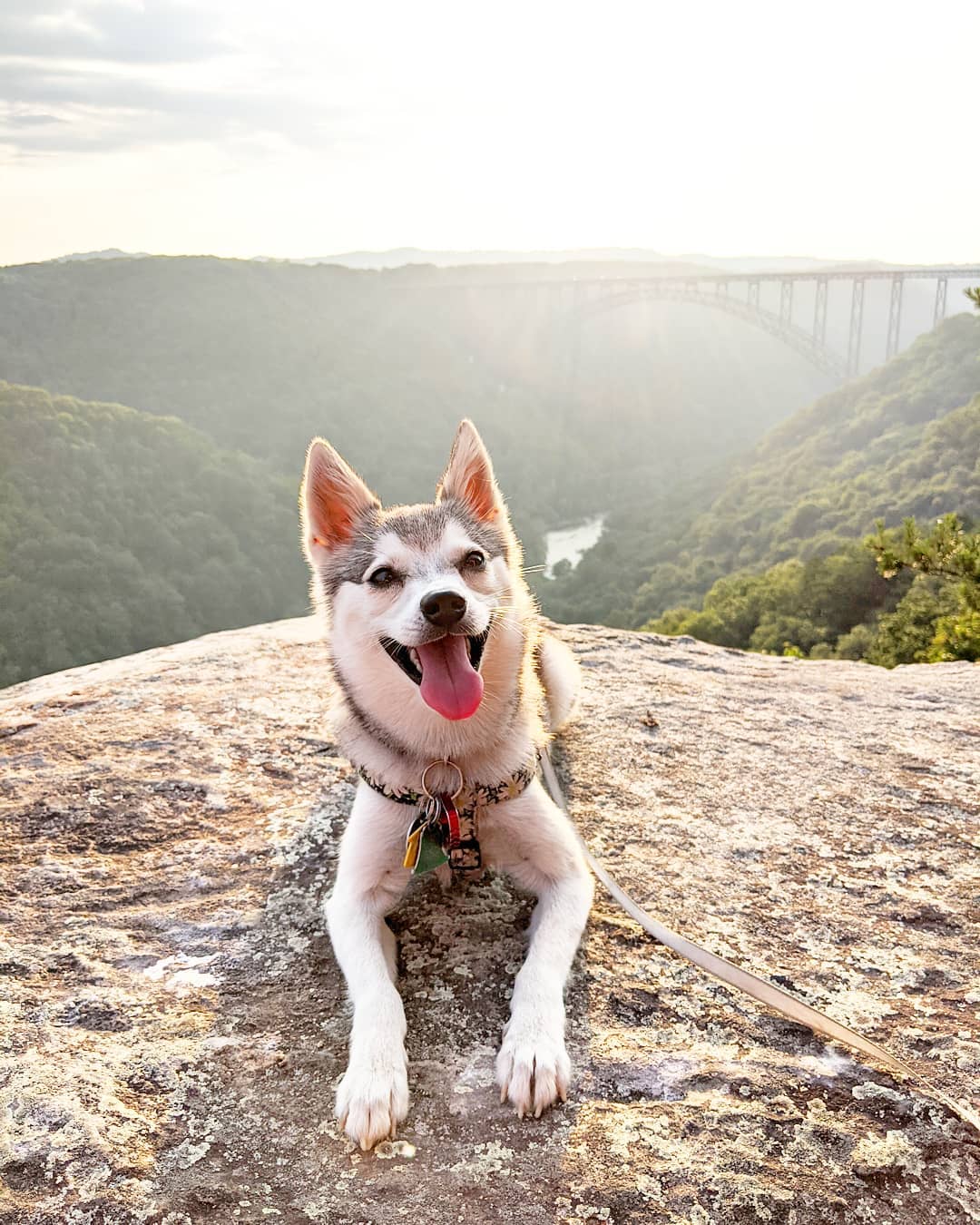 Dog Days of Summer - New River Gorge CVB