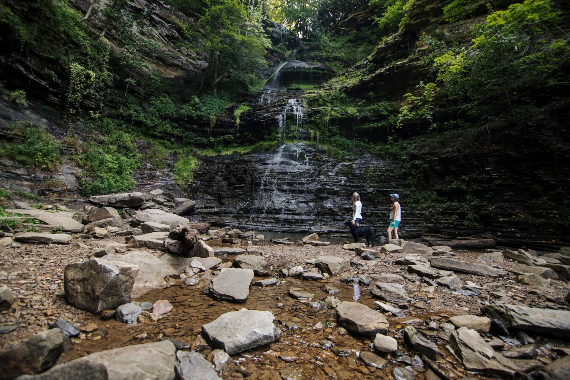 20 West Virginia Day Backdrops For Your Next Post - New River Gorge CVB